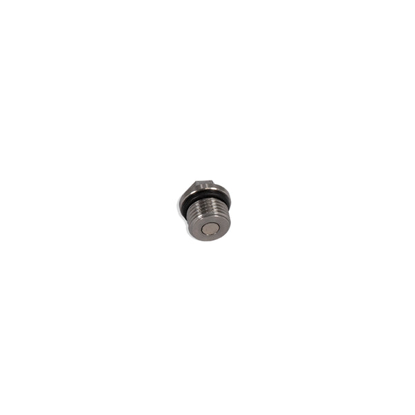 '-6 AN (9/16"-18) Stainless Steel ORB Plug with Neodymium Magnet ...